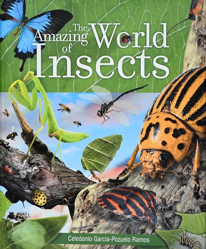 The Amazing World Of Insects – Advent Press Ghana Bookshop